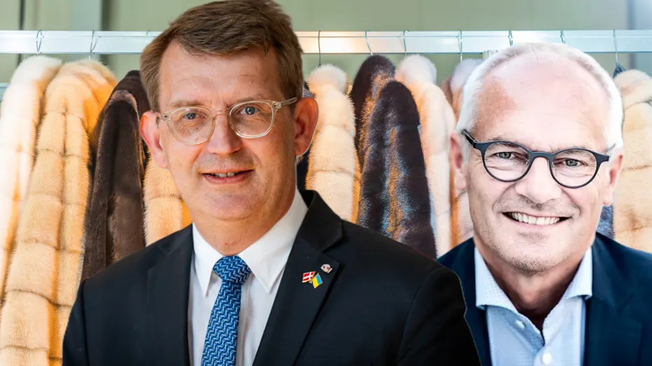 Troels’ mink-ven runder nu næsten 300 millioner kroner i mink ...